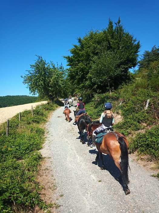 TREC/RANDO PONEY :: Stage-equitation-ete